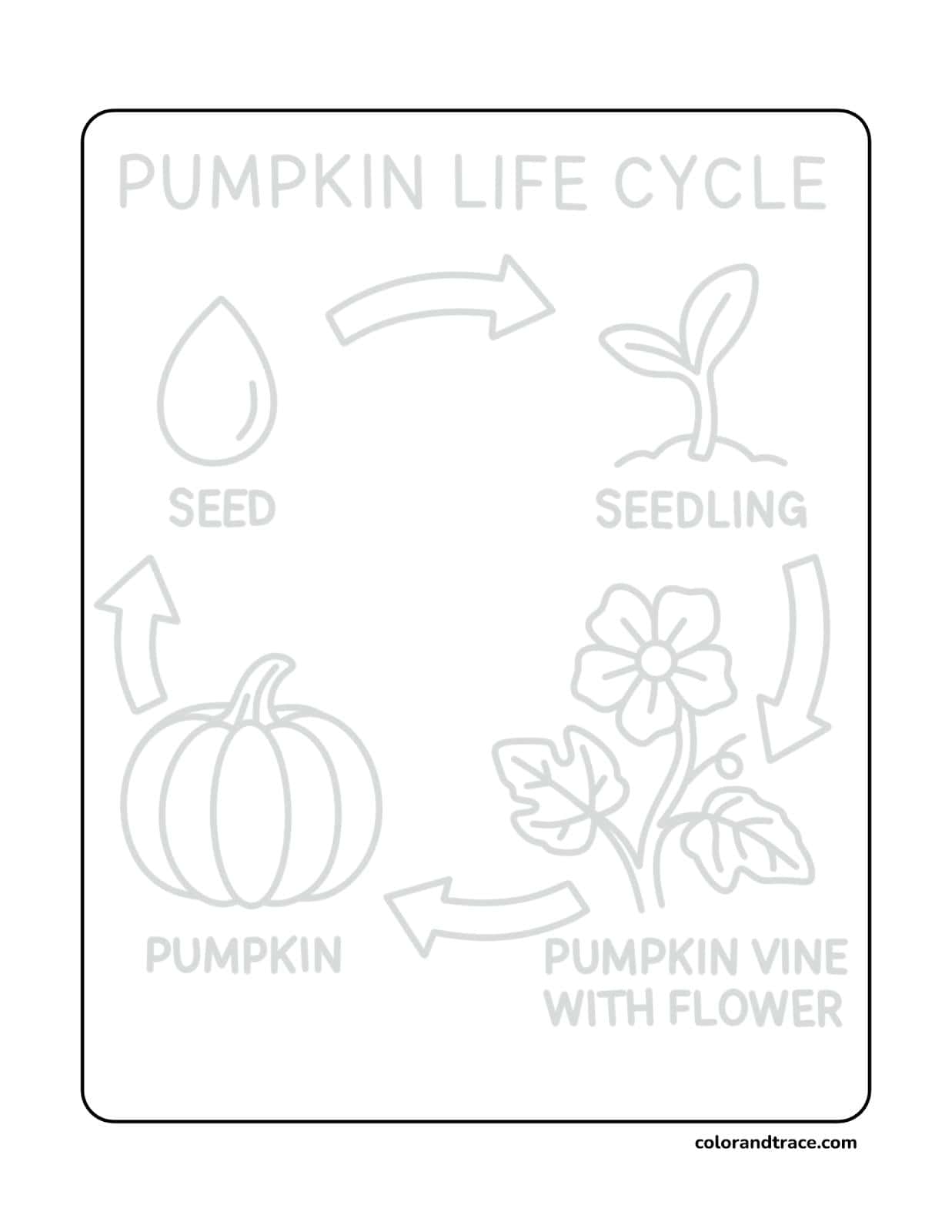 Free Printable Happy Thanksgiving Tracing Page PDF - Color and Trace