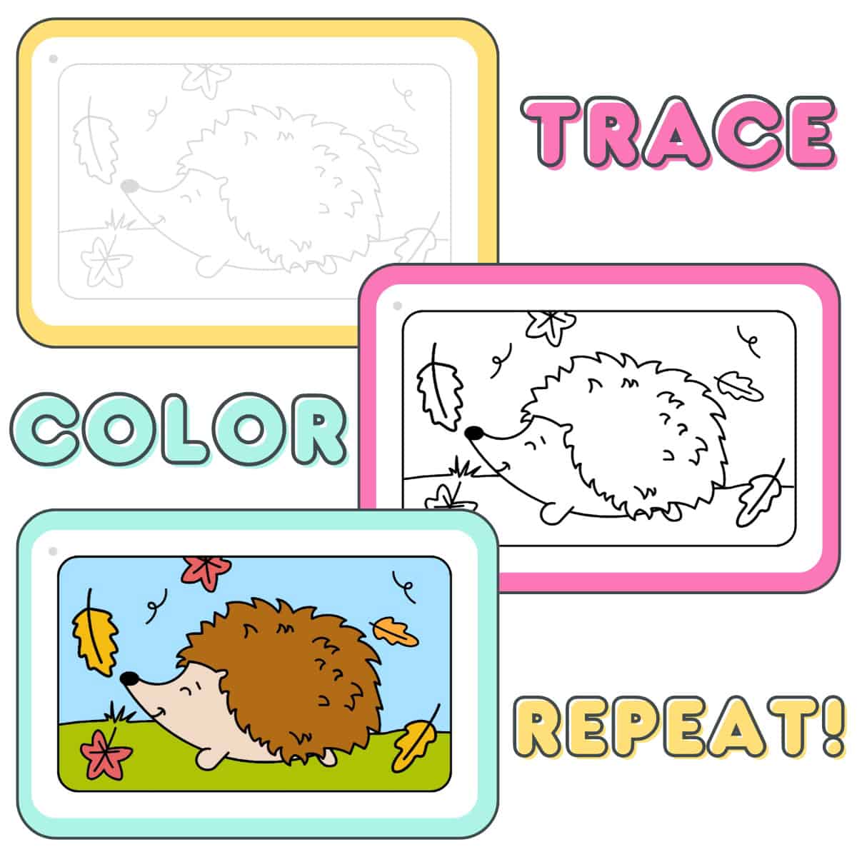 TikTok - Color and Trace