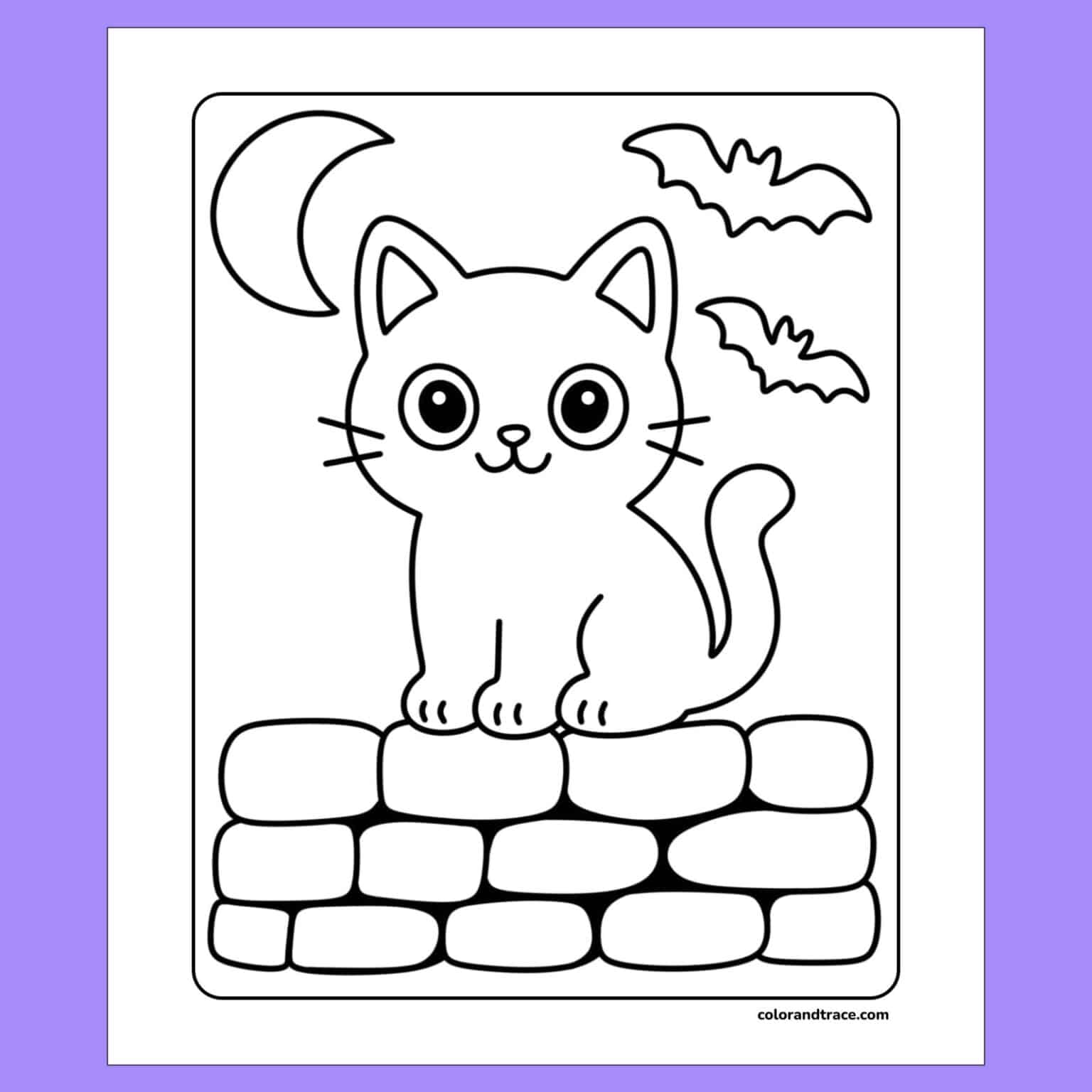 Homepage - Color and Trace