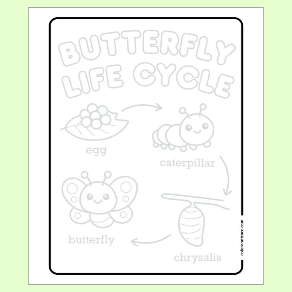 Plant Life Cycle Tracing Page Printable - Color and Trace