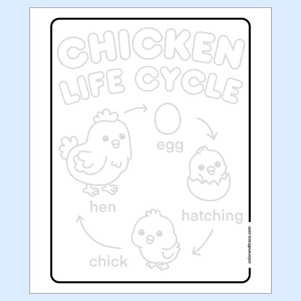 Plant Life Cycle Tracing Page Printable - Color and Trace